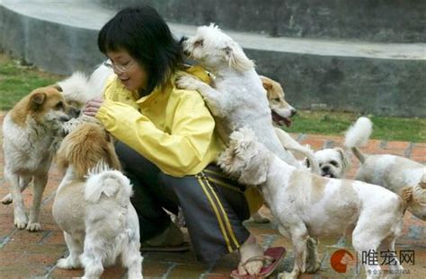 狗进家门是什么征兆 寓意有哪些唯宠网