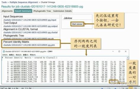 山东大学生物信息学学习笔记5—多序列比对及其工具 知乎