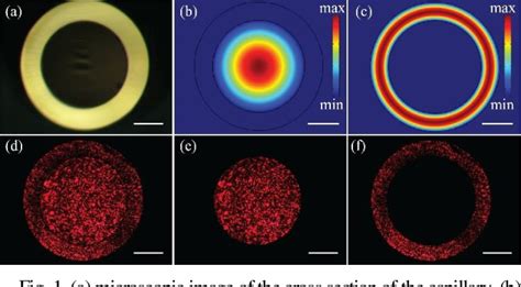 Figure 1 From Optical Capillary Based Interferometric Sensor For