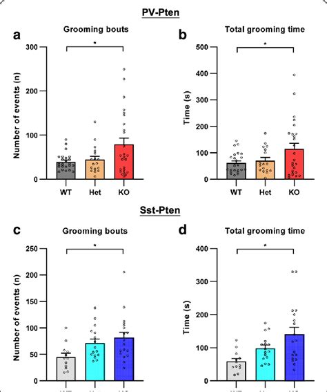 increased self grooming in pv pten ko and sst pten ko mice a the