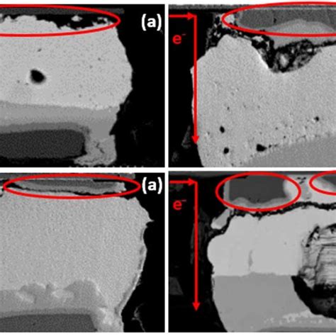 A And B Cross Sectional Sem Pictures In Bse Mode For 18 μm And 50