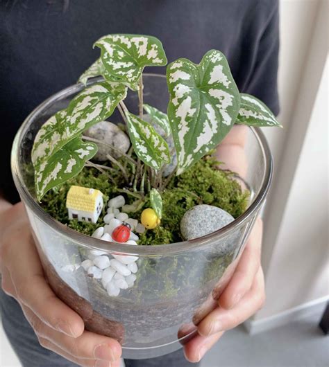 서울 신림 신대방 테라리움 가드닝 원데이 플라워 클래스 직장인취미 기업출강 솜씨당