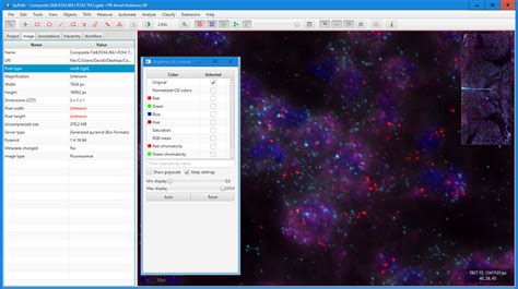 Multiplex Composite But Only Channels RGB Showing On QuPath Bio Formats Extension Not
