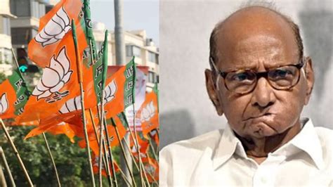 Sharad Pawar । भाजप देणार शरद पवारांना जबरदस्त धक्का