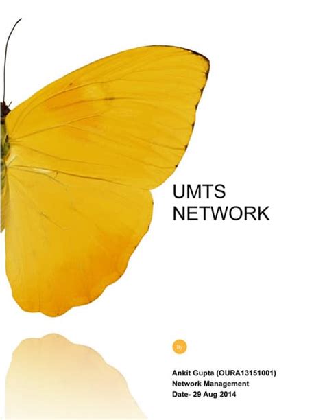 Umts Network Pdf
