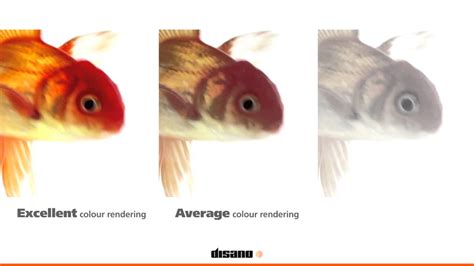 COLOUR RENDERING EN YouTube