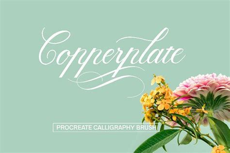 Procreate Calligraphy Brushes By Ipad Calligraphy Photoshop Photoshopactions Addons