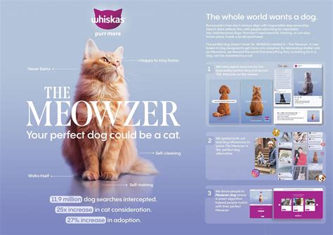 Meowzer Cannes Lions Concept Board Cannes