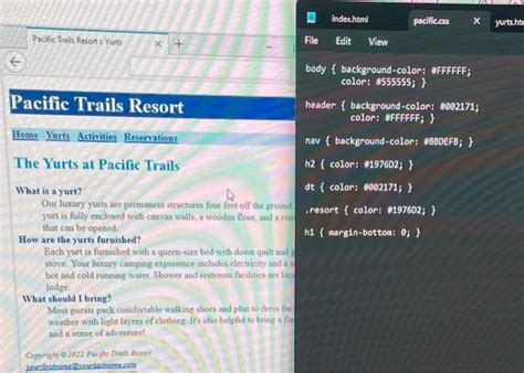 Solved I Cant Figure Out Whats Wrong With My Css It Wont Do