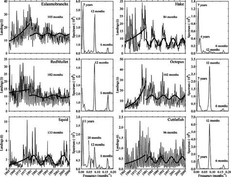 Spectrum Analysis And Least Squares Fitting To The Monthly Data