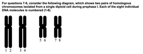 Genetics Exam 3 Flashcards Quizlet