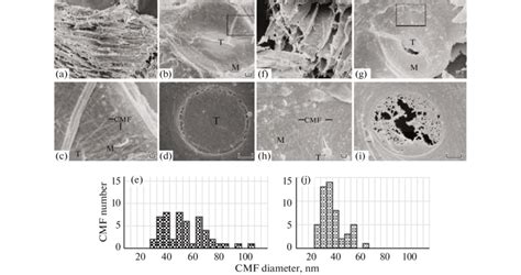 electron micrographs of samples a d no 1 and f i no 2 3 and size