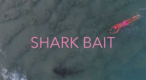 Shark Bait Shark Island Foundation
