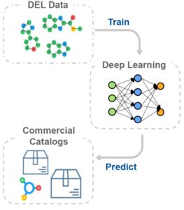 DNA Encoded Libraries DEL WuXi Biology