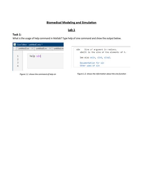 Biomedical Modeling And Simulation Pdf Computers Technology