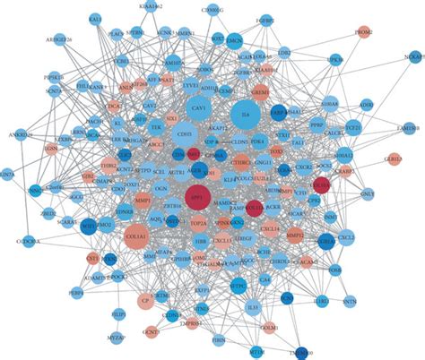 The Protein To Protein Interaction Network A The Overview Of The Ppi Download Scientific