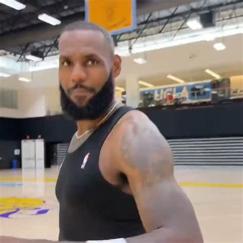 Lebron Loves Multiversus R Multiversus