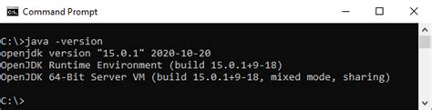 Set Up Tagui Python On Windows With Visual Automation