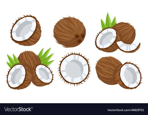 Set Of Coconut Icons Royalty Free Vector Image
