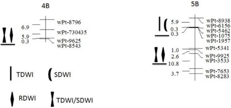 Unconditional And Conditional Qtl Mapping With Significant Lod Values