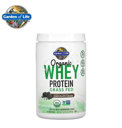 가든오브라이프 오가닉 유청 단백질 분말 Whey 프로틴 파우더 유산균 함유 초콜릿 396g 티몬