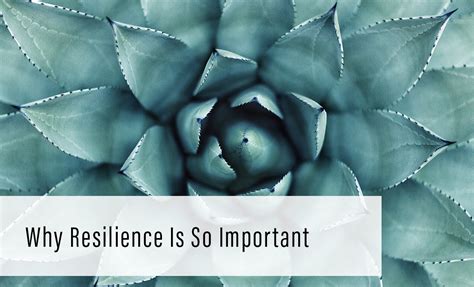 Why Resilience Is So Important Erin Stutland