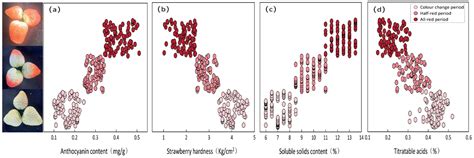 Prediction Of Strawberry Quality During Maturity Based On Hyperspectral Technology