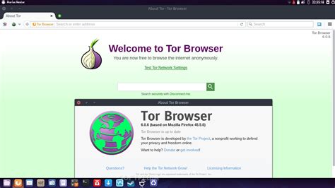 Howto Use The Tor Browser Polarfer