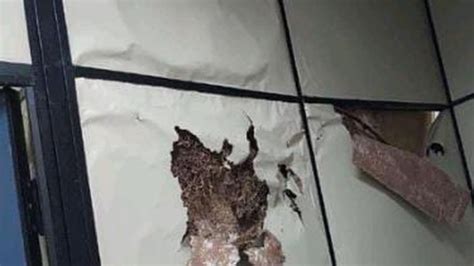Aluno Compartilha Nude De Colega De Turma Em Grupo De Whatsapp E é