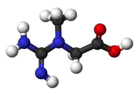 5 Awesome Benefits Of Creatine Monohydrate Hubpages