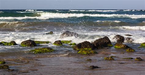 거대한 파도 거품 경치 깨는 파도 락 로프 맑은 맑은 푸른 하늘 모래 물 물결 밀물과 썰물 바다 바다 경치 바다 물결 바다 위 바다의 바다
