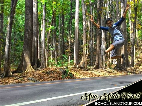 Bohol Countryside Tour ~ Bohol Island Tour Wow Bohol Package Tours