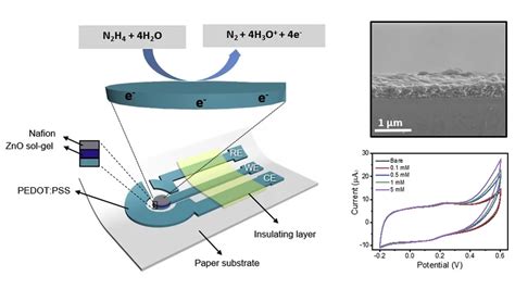 Electrochemical Sensors Sensors