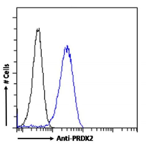 prdx2 recombinant rabbit monoclonal antibody saic 34d 11 invitrogen