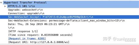 使用wireshark 分析websocket协议 知乎