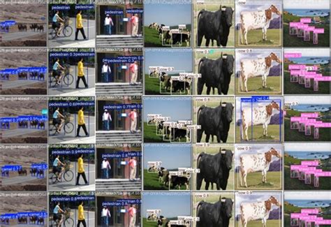 萨塞克斯大学开发出新型yolo网络 将变革乡村道路上的自动驾驶 盖世汽车资讯