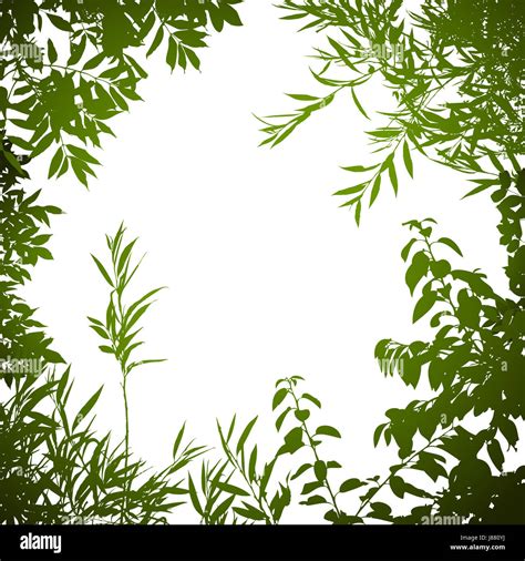 Tree Silhouette Border