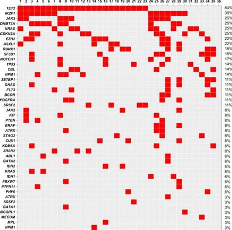 母细胞性浆细胞样树突状细胞肿瘤 Bpdcn 的诊断管理与治疗考虑密切相关 Annals Of Hematology X Mol