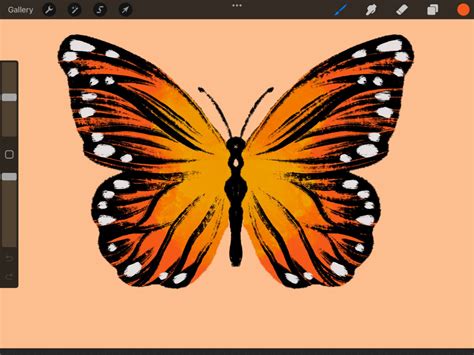 Beginners Series Learn With Procreate®