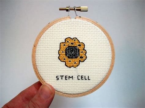 Stem Cell Cross Stitch Needlework For Scientists And Other Cool