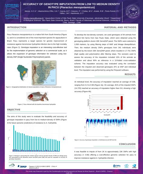 Pdf Accuracy Of Genotype Imputation From Low To Medium Density In Pacu Piaractus Mesopotamicus