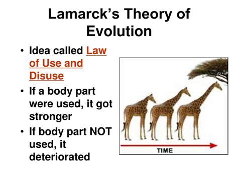 Ppt Evolutionpopulation Genetics Powerpoint Presentation Free