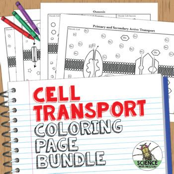 Cell Transport Coloring Activities Osmosis Diffusion For High Babe Biology