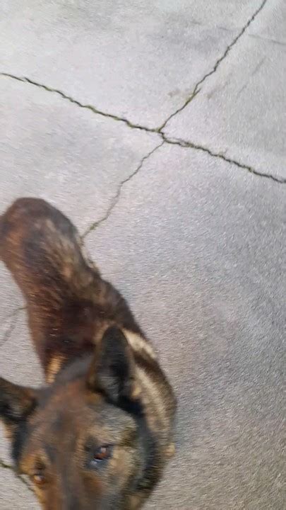 Ivan Tolić Ivšo Posted On Linkedin