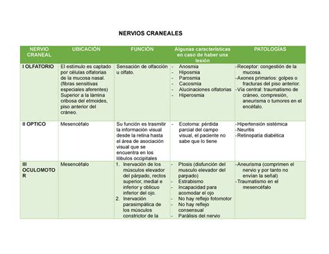 Tabla De Funciones De Los Nervios Craneales Tabla De Funciones De Los Nervios Craneales