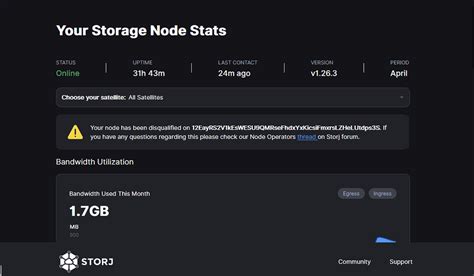 New Node Just Put Online Disqualified By Only One Satellite Node Operators Storj Community