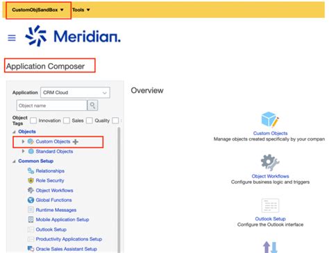 Fusion Erp Custom Business Object Event Ingestion Via Oic Fusion Erp Adapter Redthunderblog