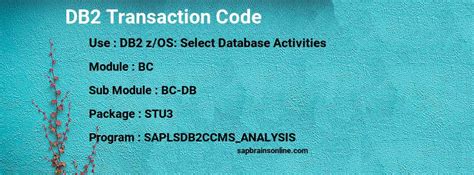 Db2 Sap Tcode For Db2 Z Os Select Database Activities