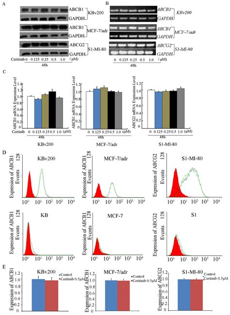 Effect Of Ceritinib On The Expression Of Abcb1 Or Abcg2 In Cells A