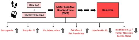 Association Of Motoric Cognitive Risk Syndrome With Sarcopenia And Systemic Inflammation In Pre